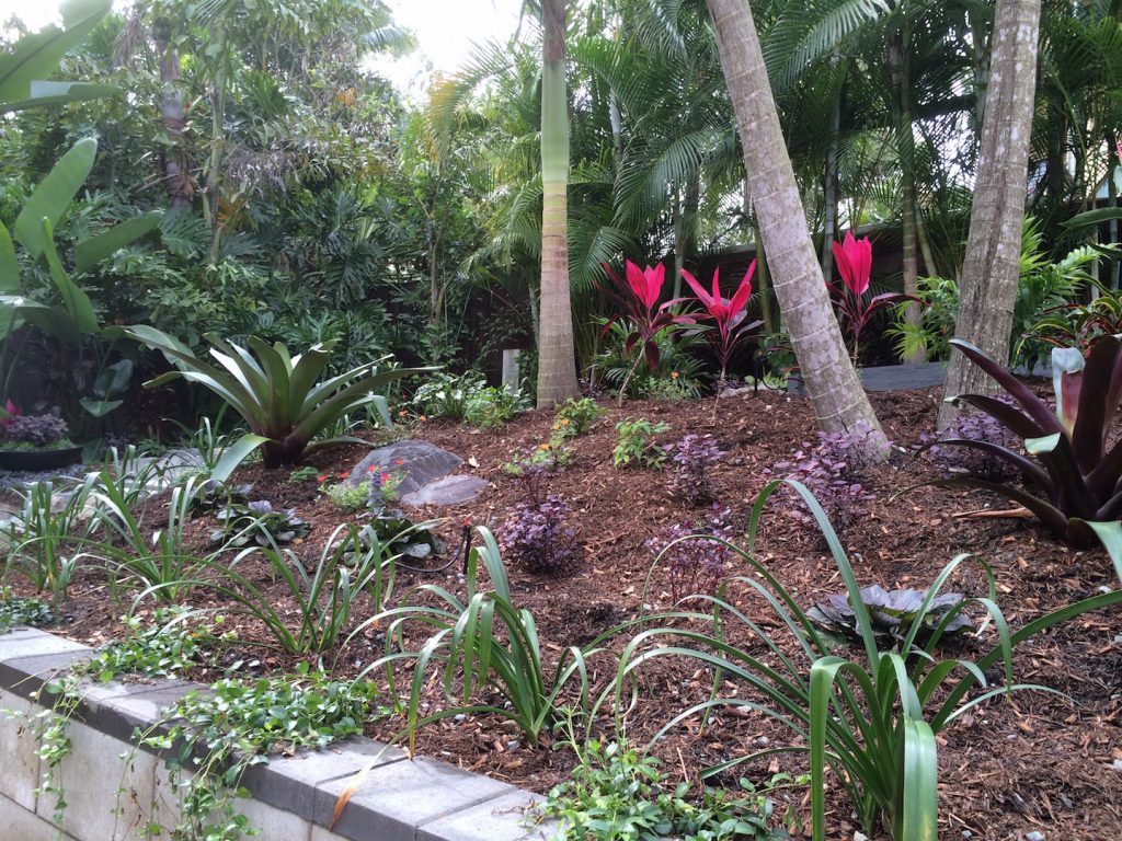 Contoured Garden - Transforming Gardens Gold Coast Landscape